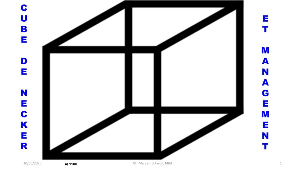 Cube de Necker et management - Performinfo