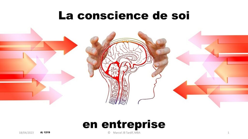 La conscience de soi - Performinfo
